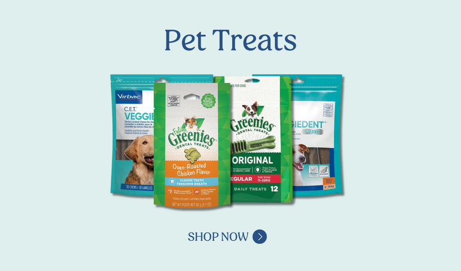Shop Quality Pet Food, Flea Treatments & Essentials in NZ